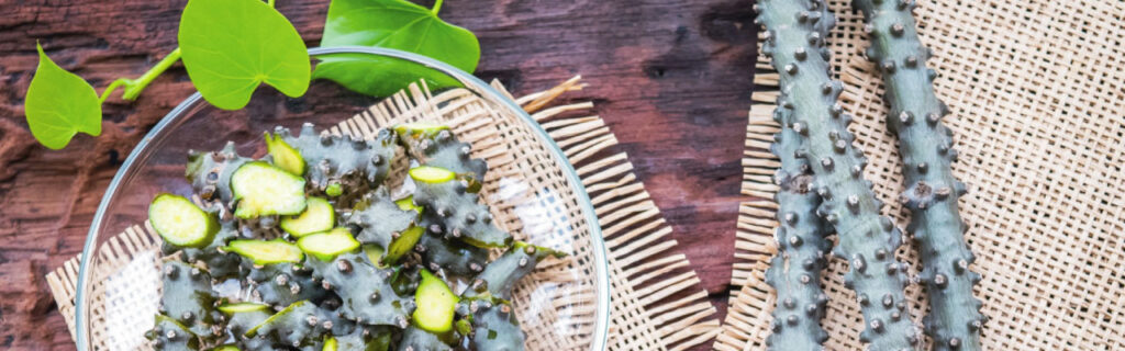 What is Guduchi or Giloy? Uses & benefits of this Ayurvedic herb