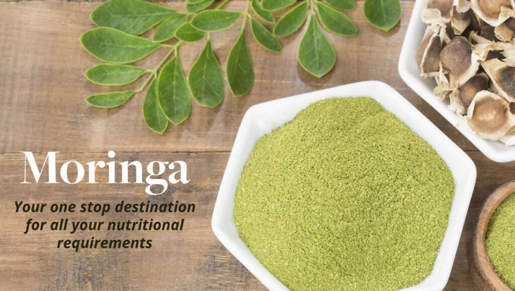 All About Moringa; Everything you need to know - Sarveda